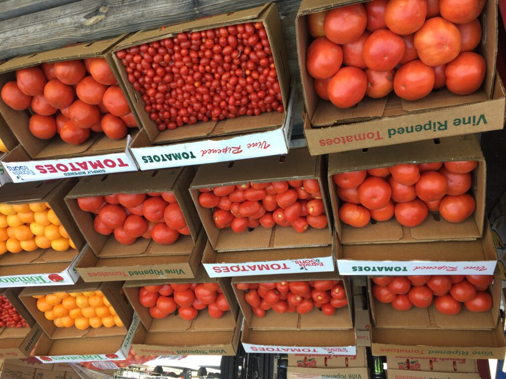 Blackberry & Raspberry Information | NC State Extension